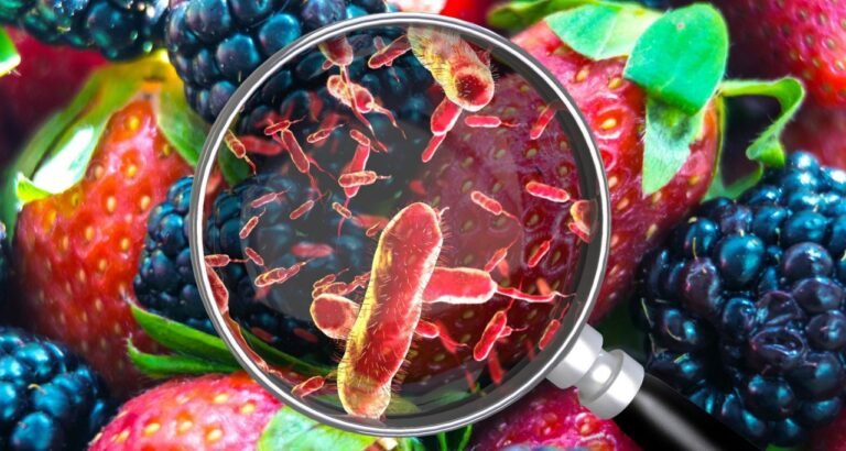 Curved Gram-Negative Rods: Campylobacter and Helicobacter Explained ...